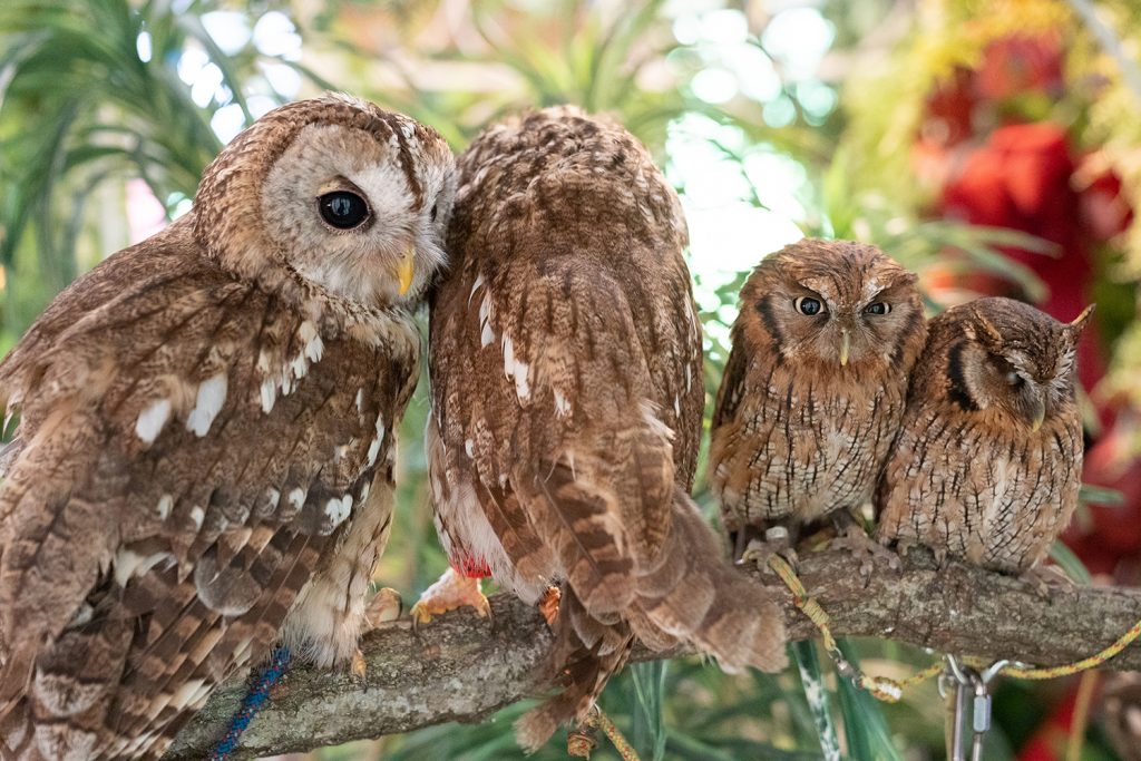 小田急エージェンシー主催の箱根・三島プレスツアーに行ってきました！【その1】 | tokyo chips
